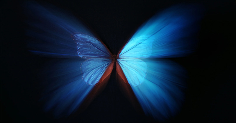 Efectul fluturelui, adevăr și legendă sau ce este teoria haosului ...