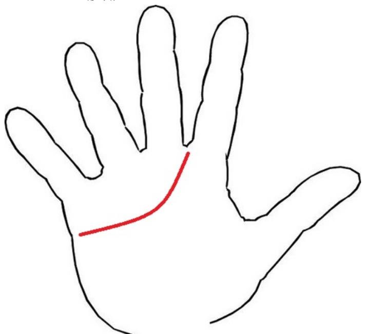 Linia inimii din palmă poate spune multe despre relația ta cu ceilalți ...