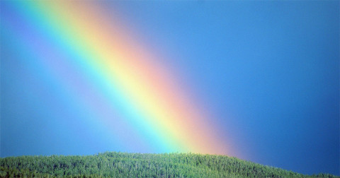 Curiozități despre culorile curcubeului - Curiozitate